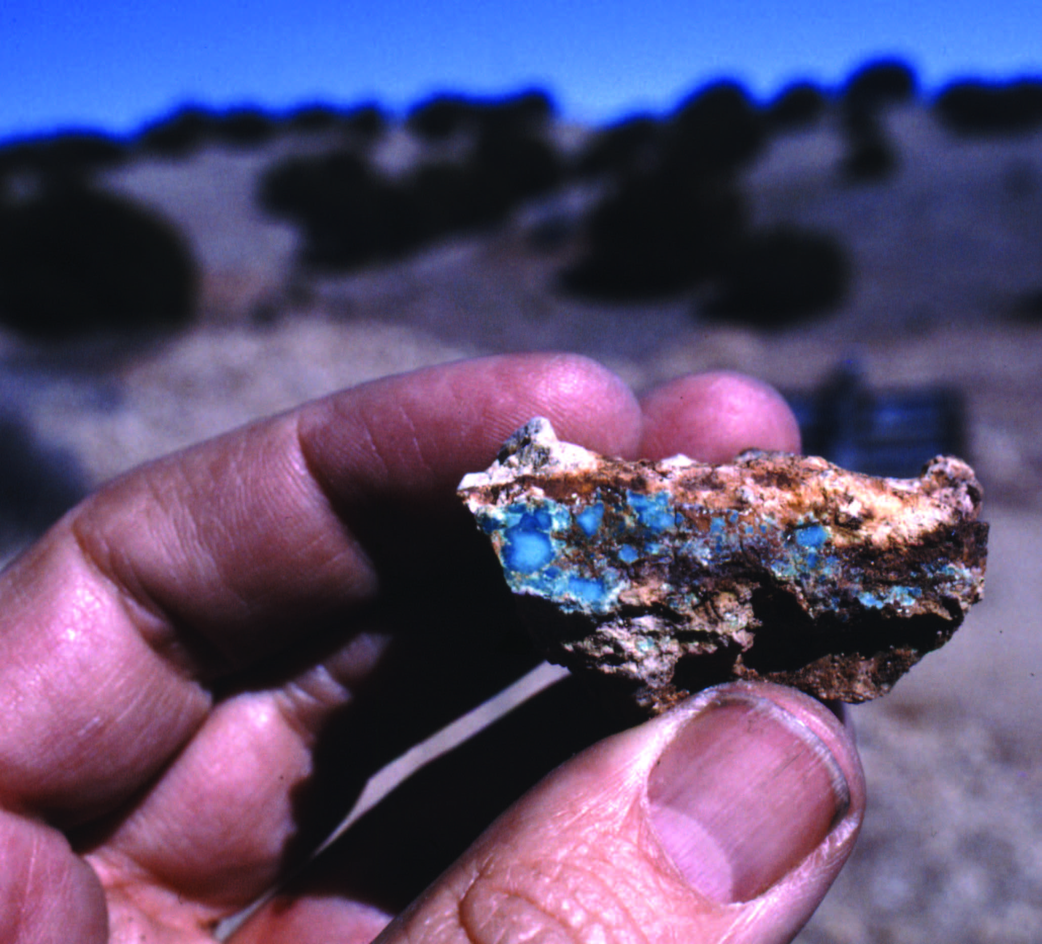 A piece of raw turquoise from the Cerrillos mines, ca. 1989. Photograph ...
