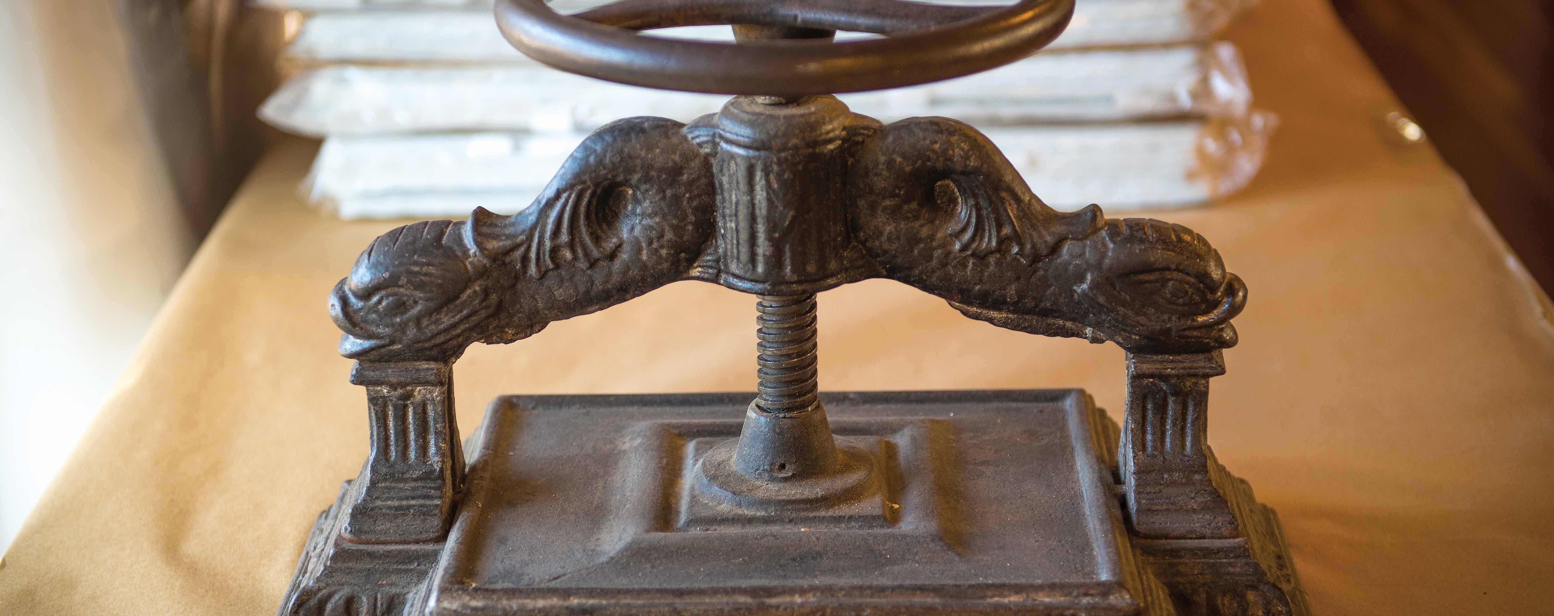 DolphinPress_01_kl-Edit