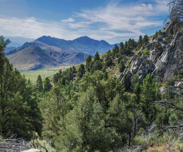 Nde Benah – El Palacio